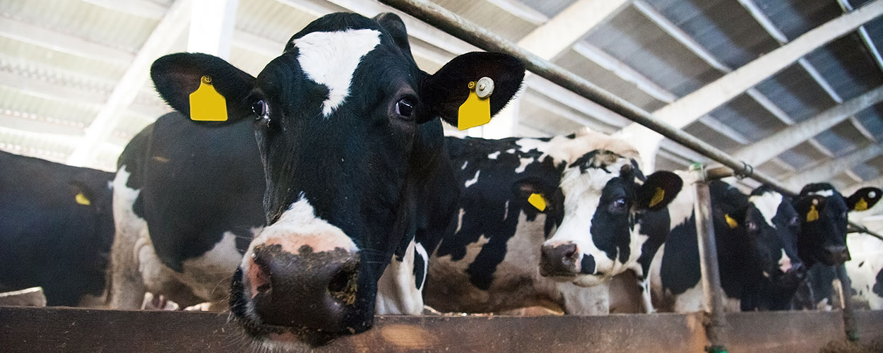 Water Well Redevelopment in Fresno County Provides Stunning Results for ...